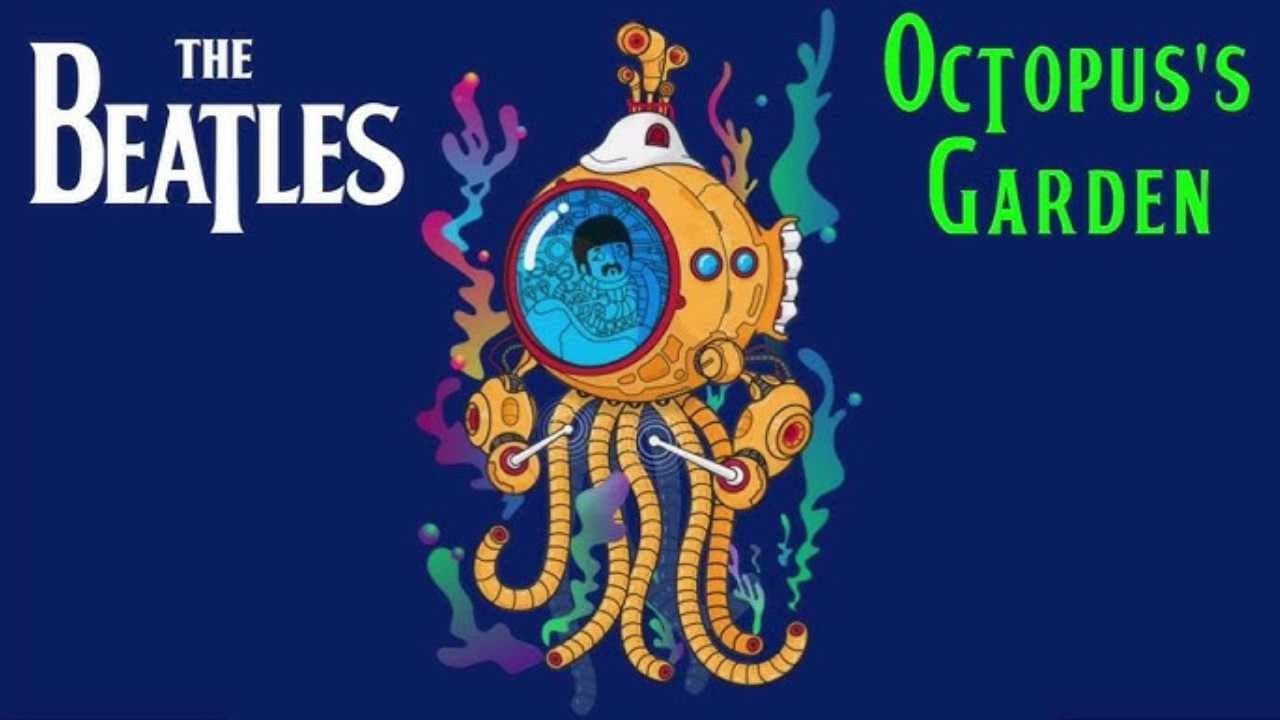 “Octopus’s Garden”: la historia detrás del tema de The Beatles ...